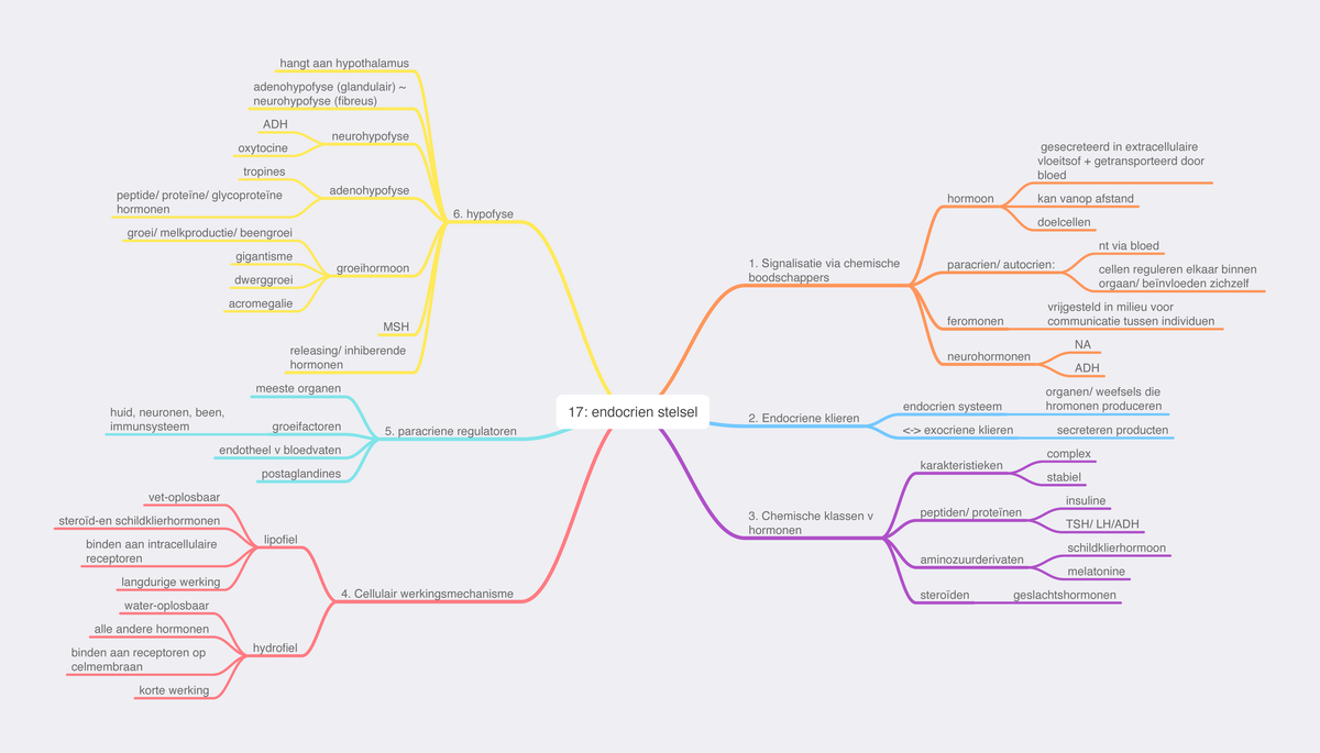 17 endocrien systeem mindmap PDF - 17: endocrien stelsel Signalisatie ...