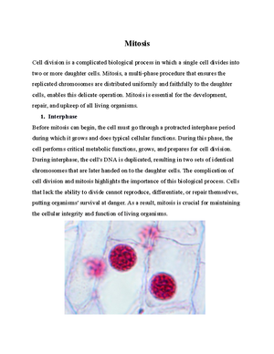 Anatomy 2 - Teacher: Stacy Ruch ans endocrine system hormones ...