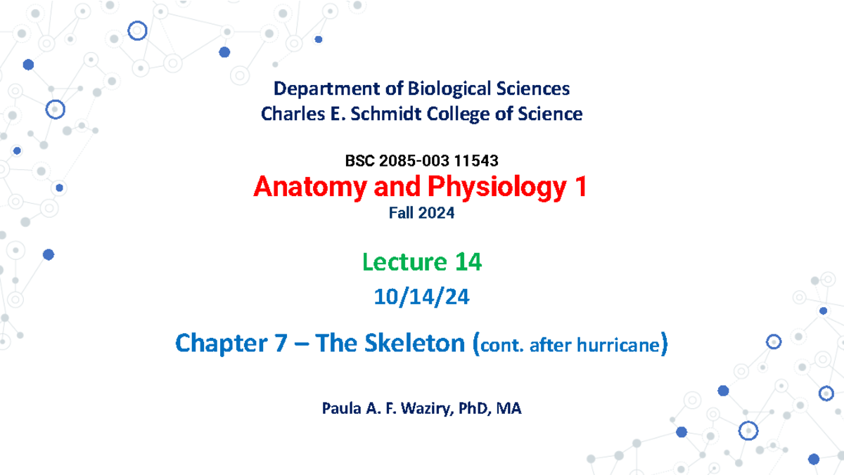 Lecture 14 x anatomy - Department of Biological Sciences Charles E ...
