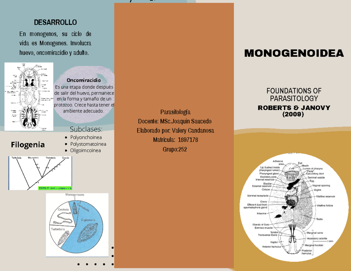 15B1C2DB 184F 439A BB3B D63706 FBF2D5 - MONOGENOIDEA FOUNDATIONS OF ...