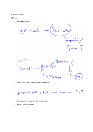 BIOC2000 Practical Report - Instructions - 1 BIOC2000 LEAPS LABORATORY REPORT - INSTRUCTIONS ...