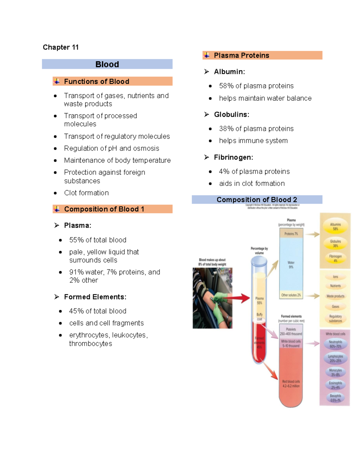 Blood ( Anatomy and Physiology ) Lecture note - Chapter 11 Blood ...