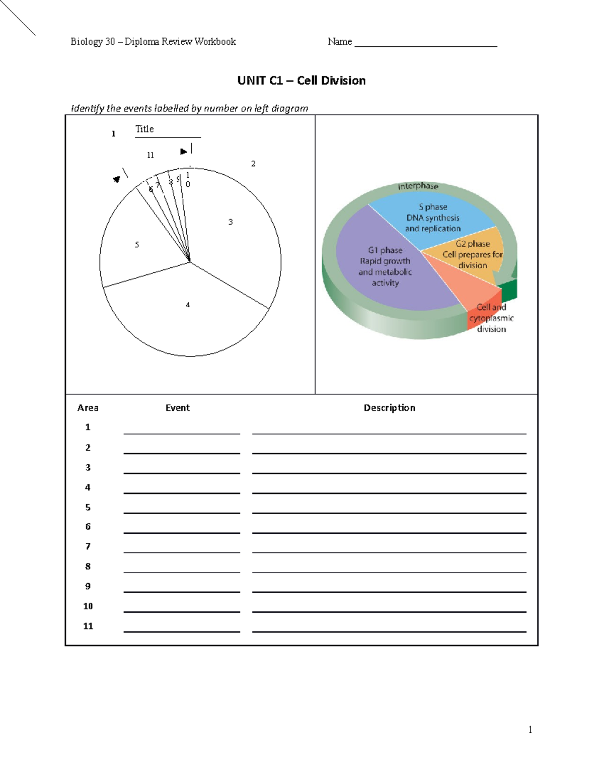 Bio 30 Review WB - DNA cell division and Genetics - UNIT C1 – Cell ...