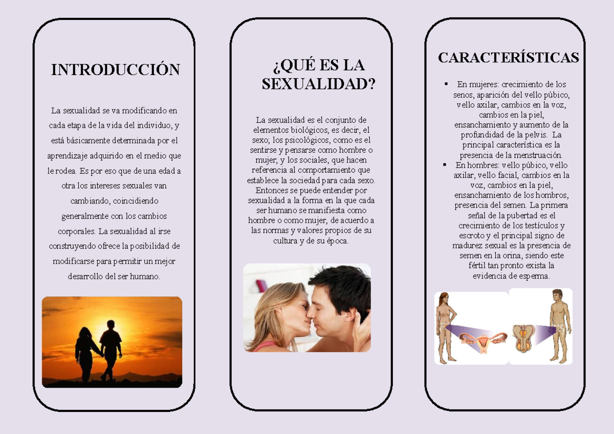 Triptico de la Sexualidad - La sexualidad se va modificando en cada etapa de la vida del ...