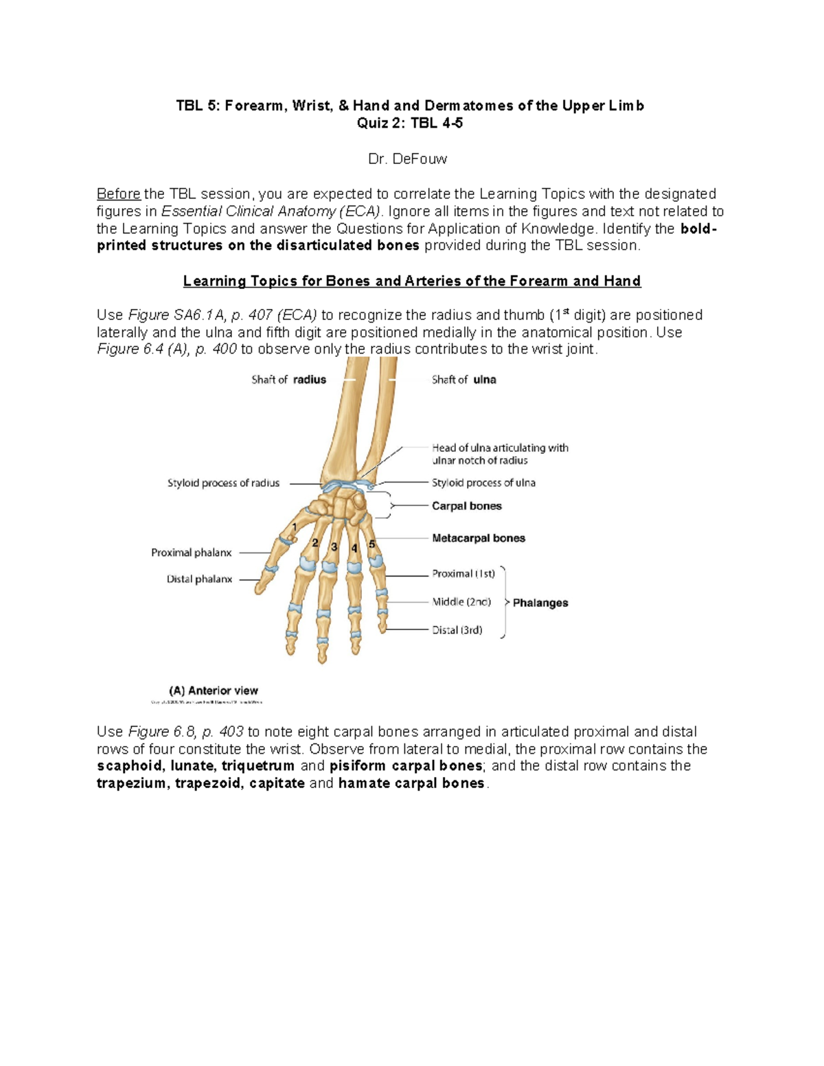 TBL 5 Forearm, Wrist, Hand & Dermatomes of Upper Limb - TBL 5: Forearm ...
