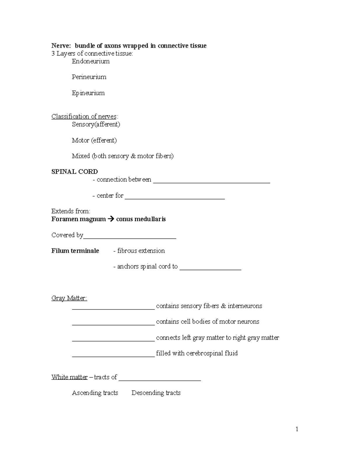 #9- Spinal cord outline - Nerve: bundle of axons wrapped in connective ...