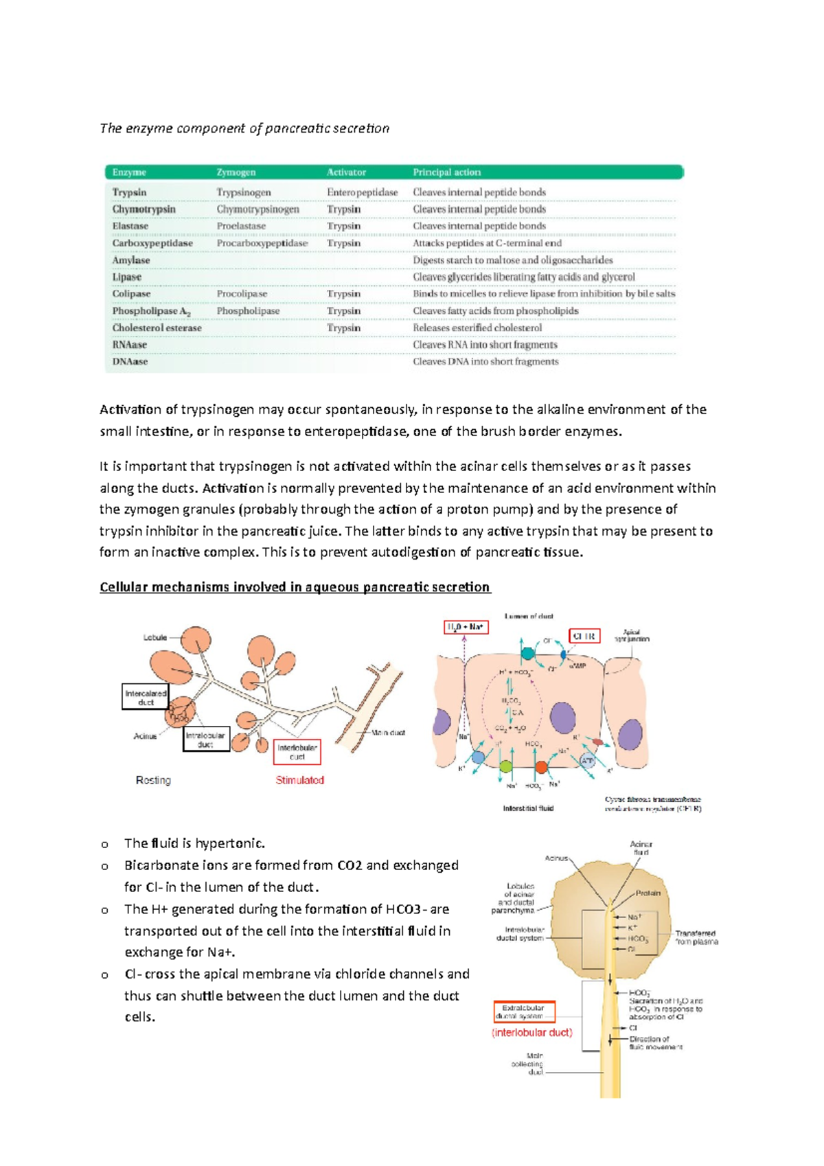 The enzyme component of pancreatic secretion 8 - The enzyme component ...