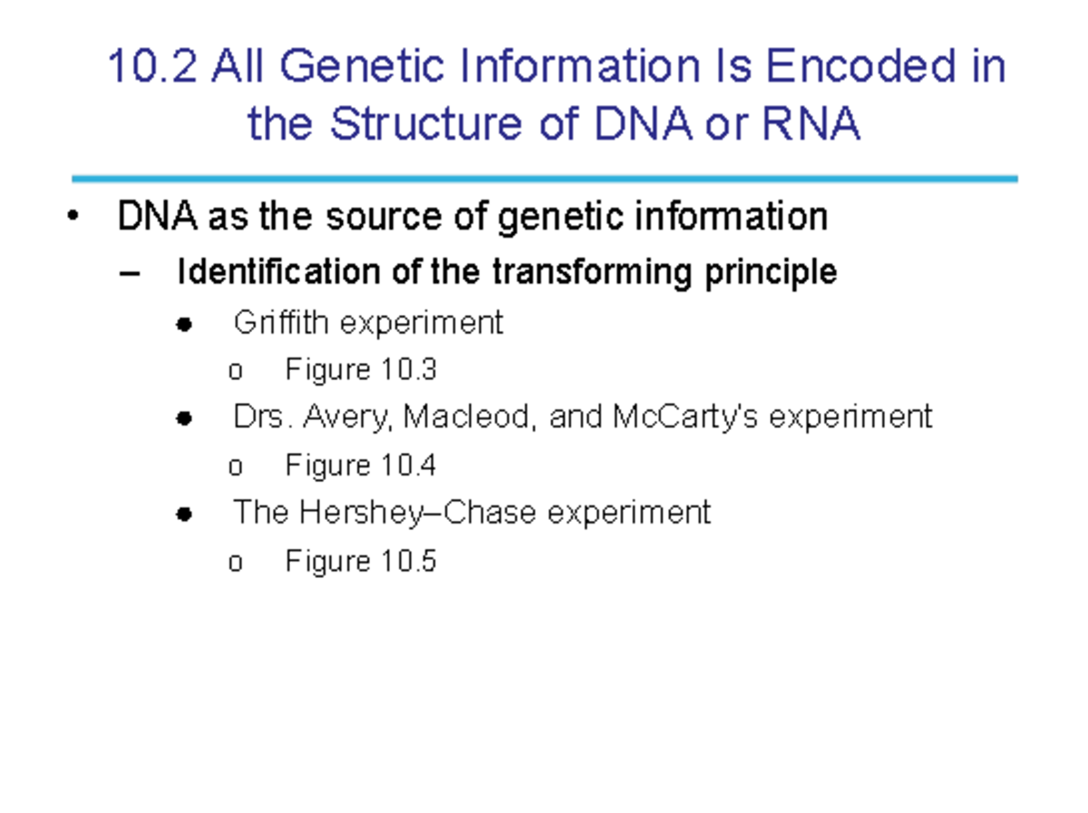 Genetics chapter 10 - powerpoints - 10 All Genetic Information Is ...