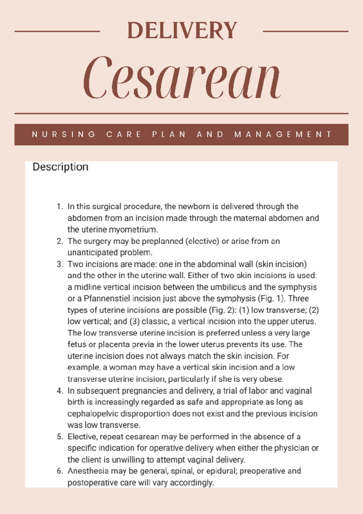 Cesarean Section Delivery ROOM Portfolio Example - DELIVERY Cesarean N ...