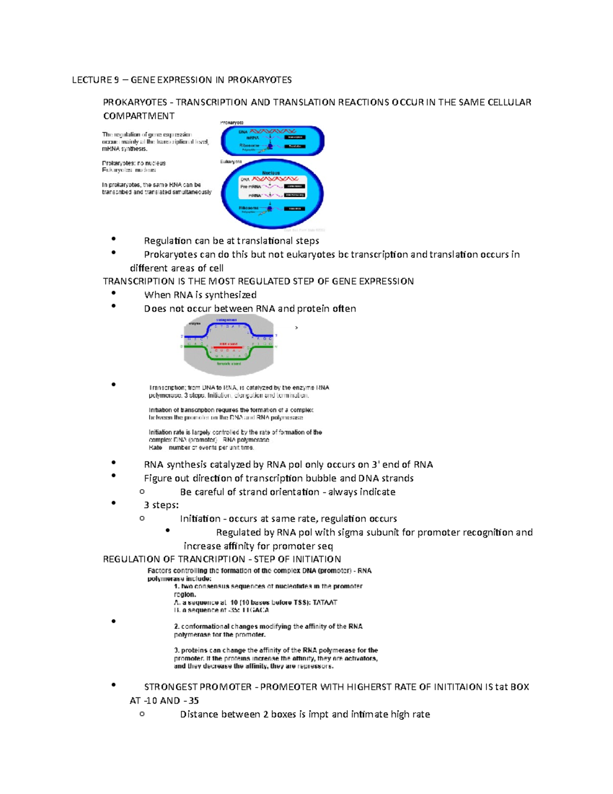 LEC 9 GENE EXPRESSION IN PROKARYOTES - LECTURE 9 – GENE EXPRESSION IN ...