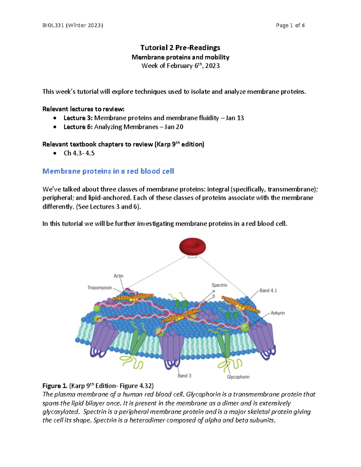 BIOL331 Tutorial 2 Pre-Tutorial Reading - Biol 331 - UCalgary - Studocu