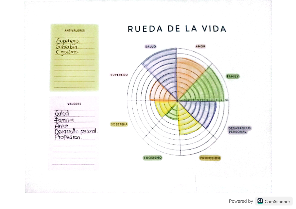 Rueda DE LA VIDA - Trabajo Académico - Antropología - ANTIVALORES RUEDA ...