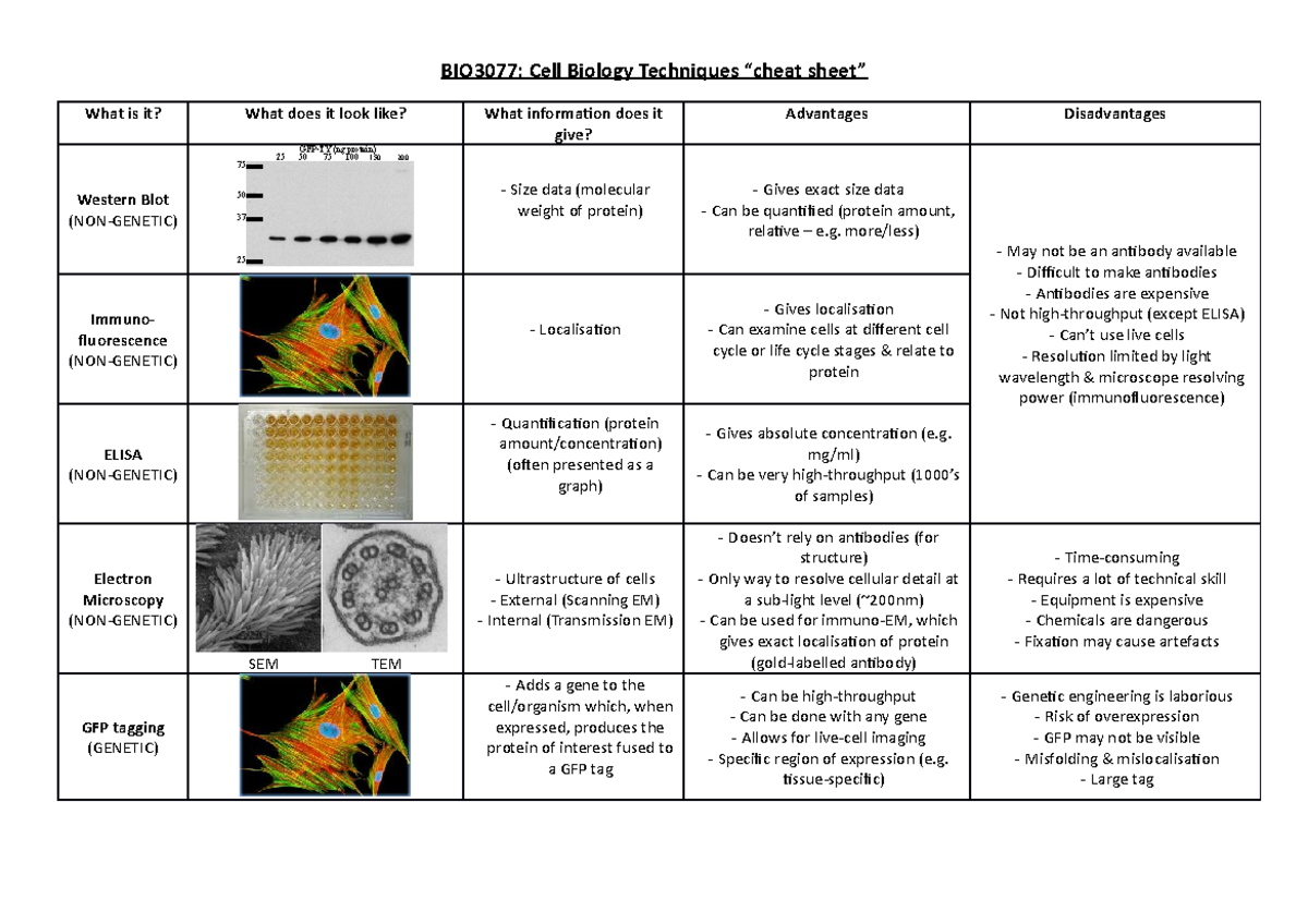 Cheat Sheet - Lecture notes 1-5 - BIO3077: Cell Biology Techniques ...