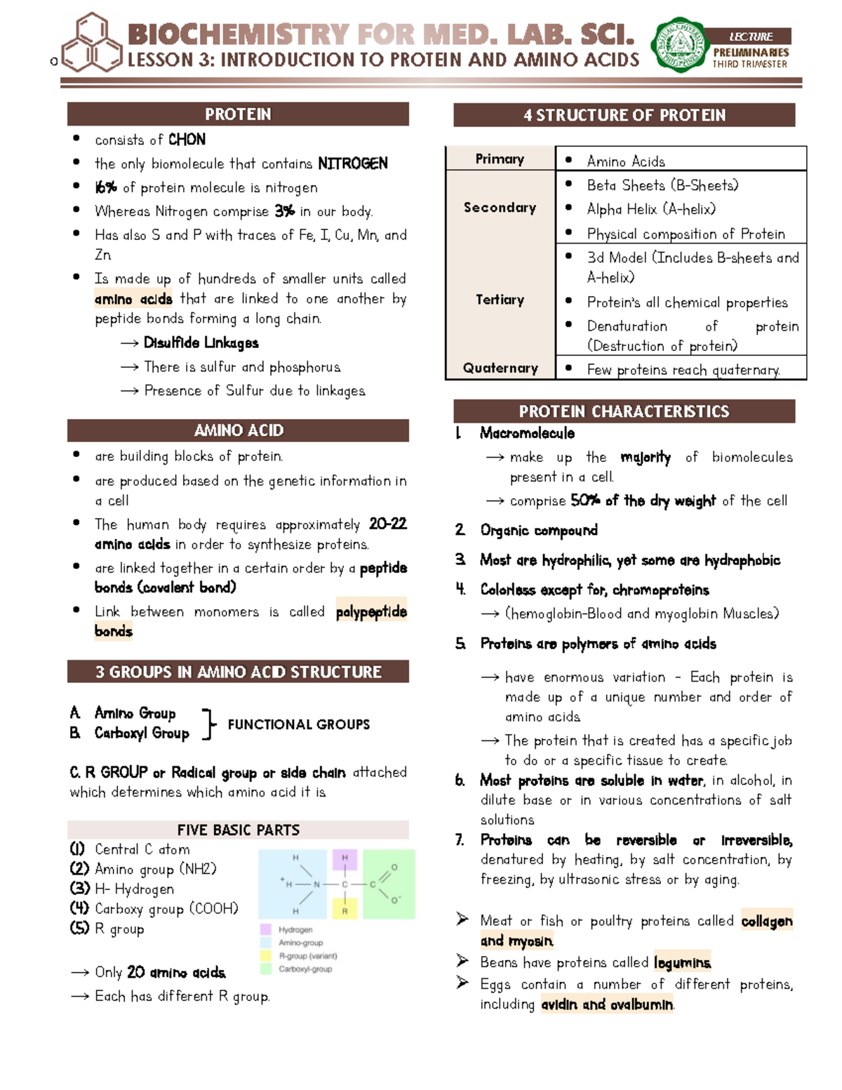Lesson 4 - Biochemistry for Med. Lab. Sci - o PROTEIN • consists of ...