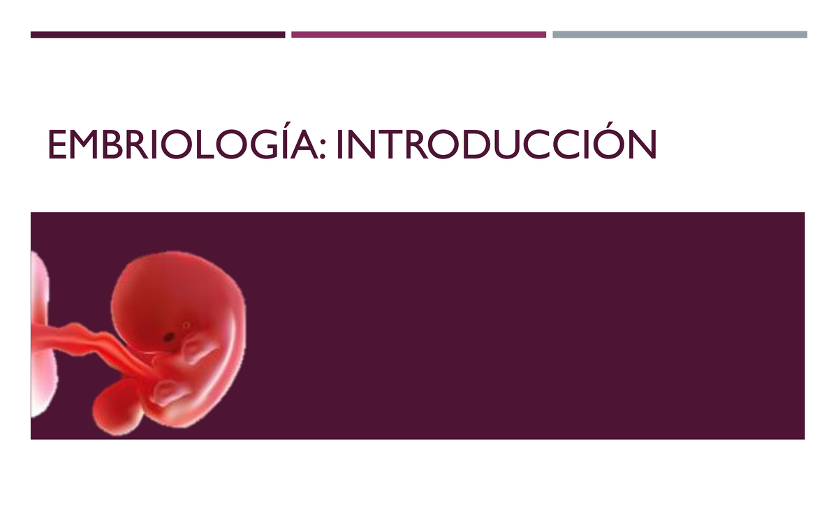 Introducción A LA Embriología - EMBRIOLOGÍA: INTRODUCCIÓN OBJETIVOS ...
