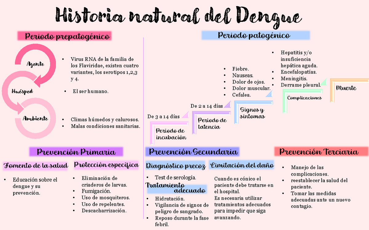 Historia natural del dengue - Historia natural del Dengue Agente ...