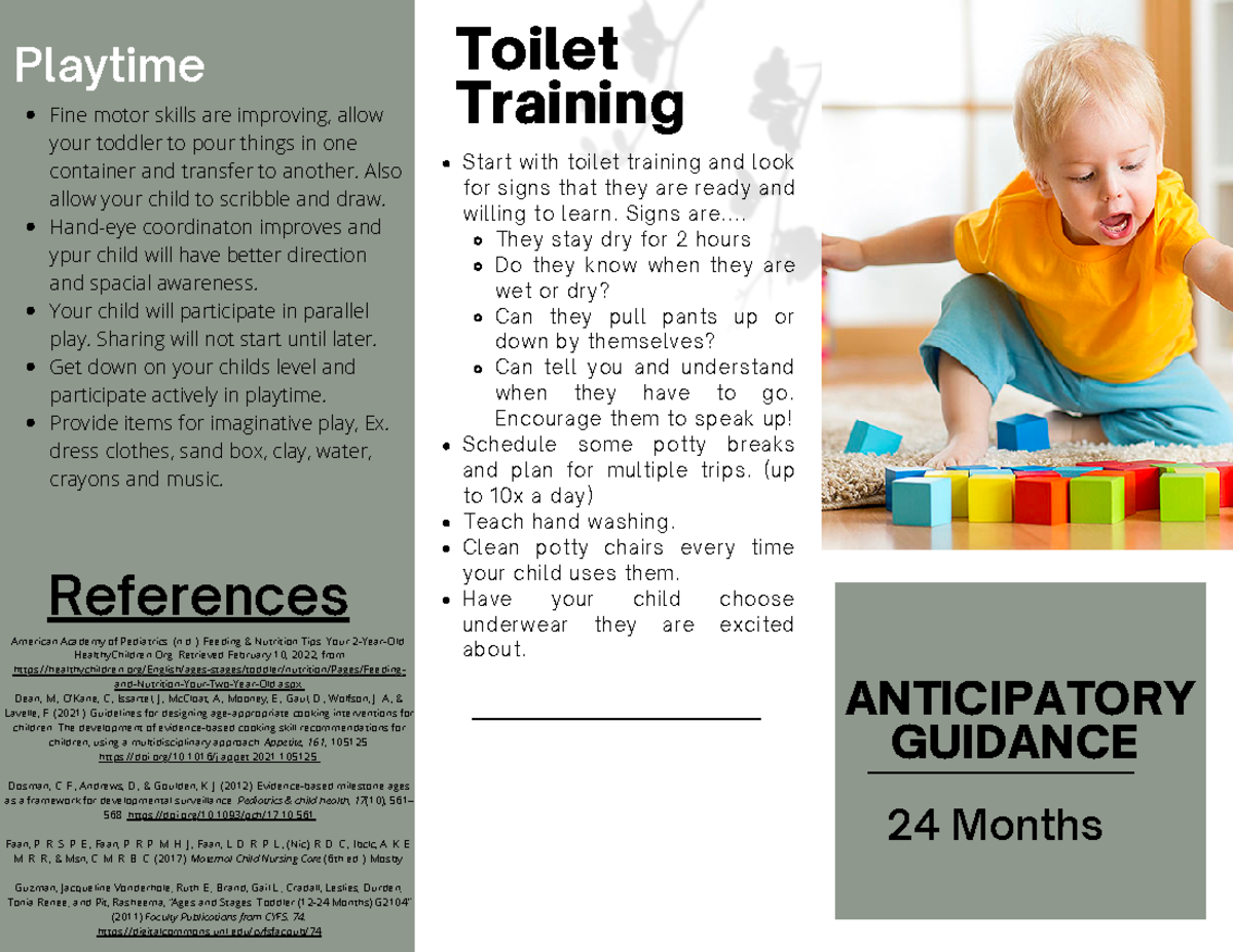Grey And Green Anticipatory Guidance 24 Months Toilet Training grey-and-green-anticipatory-guidance-24-months-toilet-training