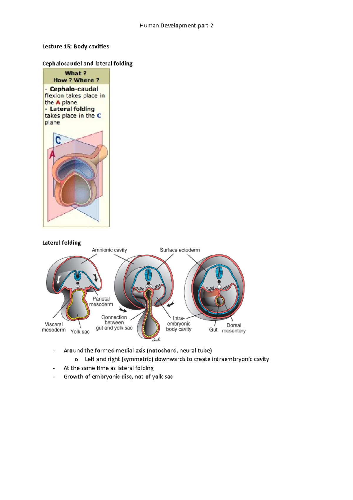 Lectures HD part 2 - lecture notes - Lecture 15: Body cavities ...