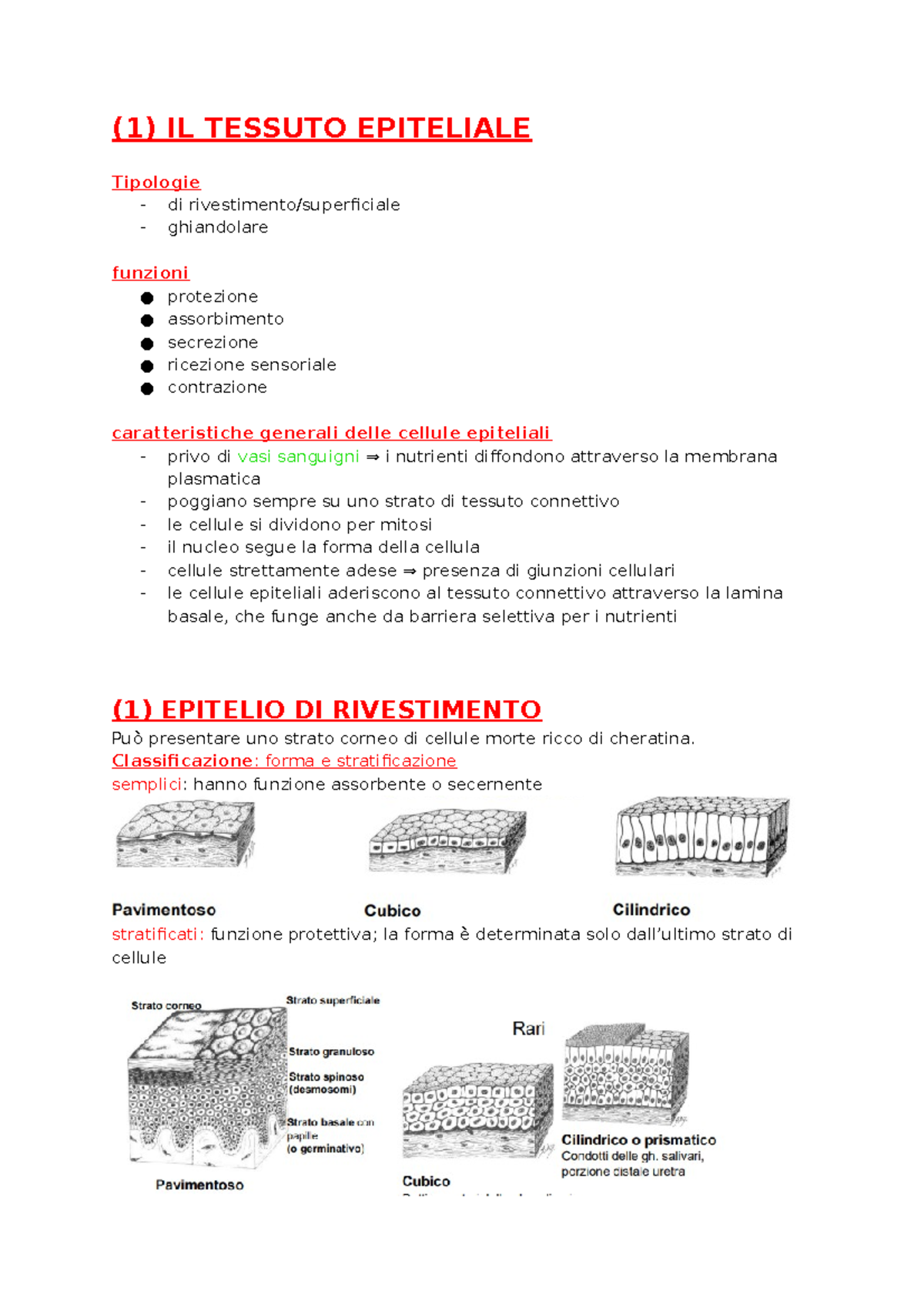 Tessuto epiteliale - (1) IL TESSUTO EPITELIALE Tipologie - di ...