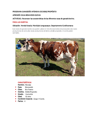 Evidencia Infografía Comprender los distintos sistemas de pastoreo en ...
