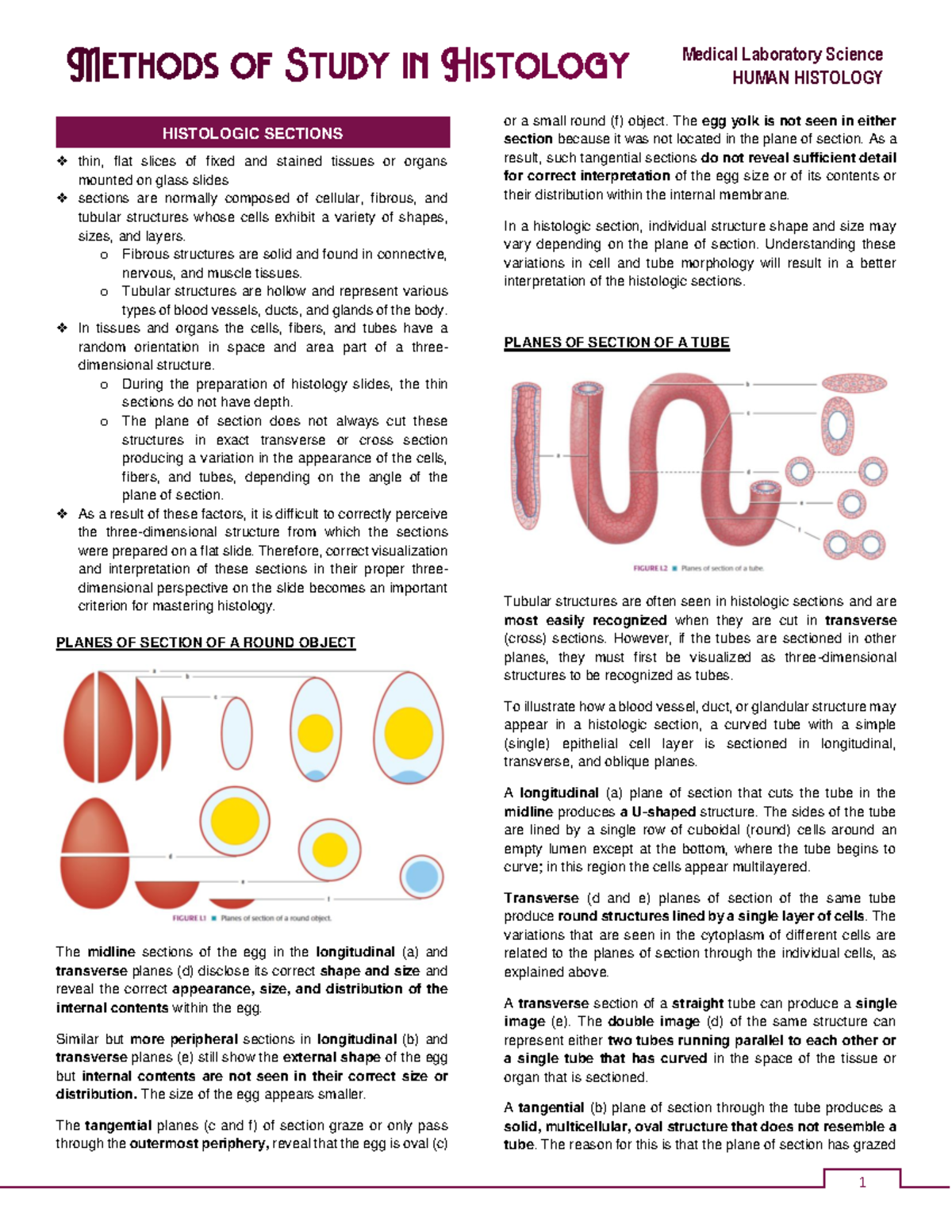 M1 - Methods of Study in Histology - HUMAN HISTOLOGY thin, flat slices ...