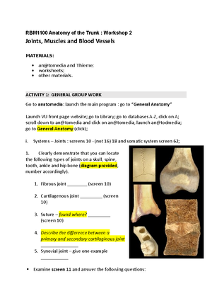 RBM1100 Functional Anatomy of The Trunk W1 - RBM1100 Functional Anatomy ...