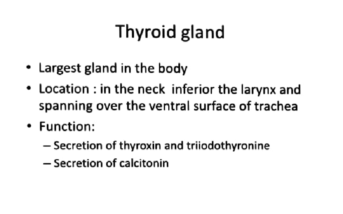 Thyroid anatomy - Simple study material for medical students - Bachelor ...