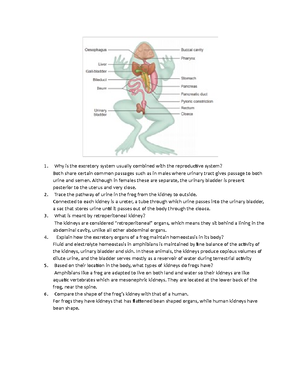 Integumentary System of the Frog - Below are the essential features ...