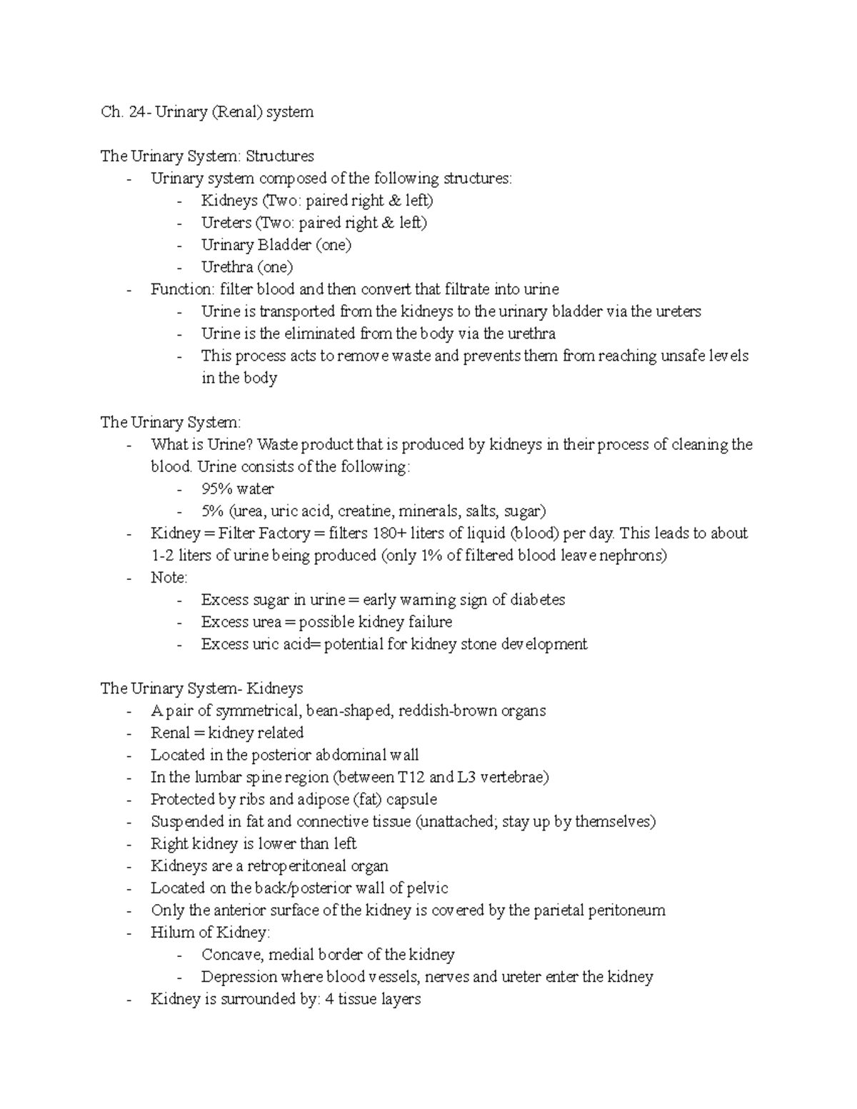 Lecture 5 Urinary System Ch 24 Urinary Renal System The Urinary
