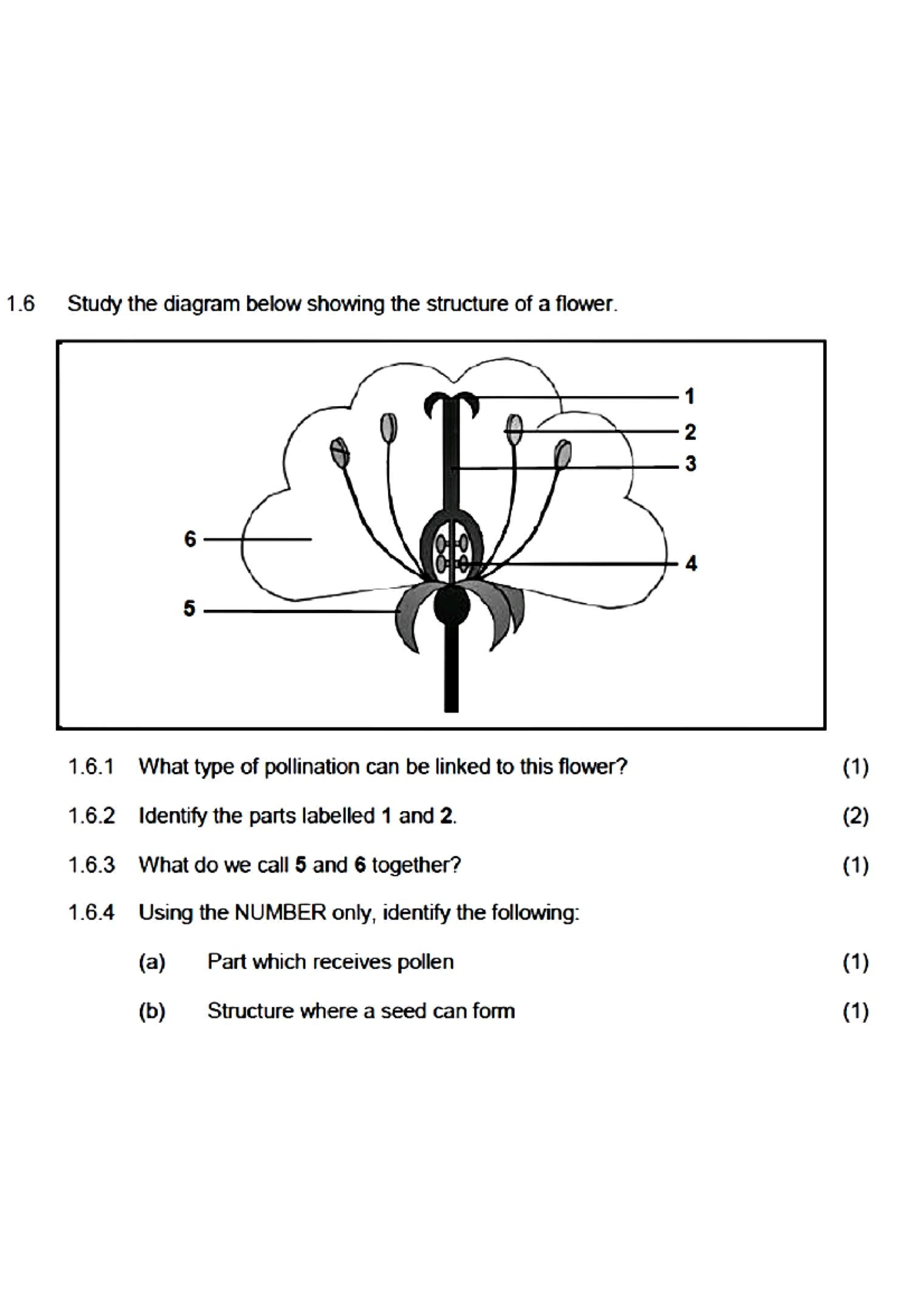 G11 activities - Studocu