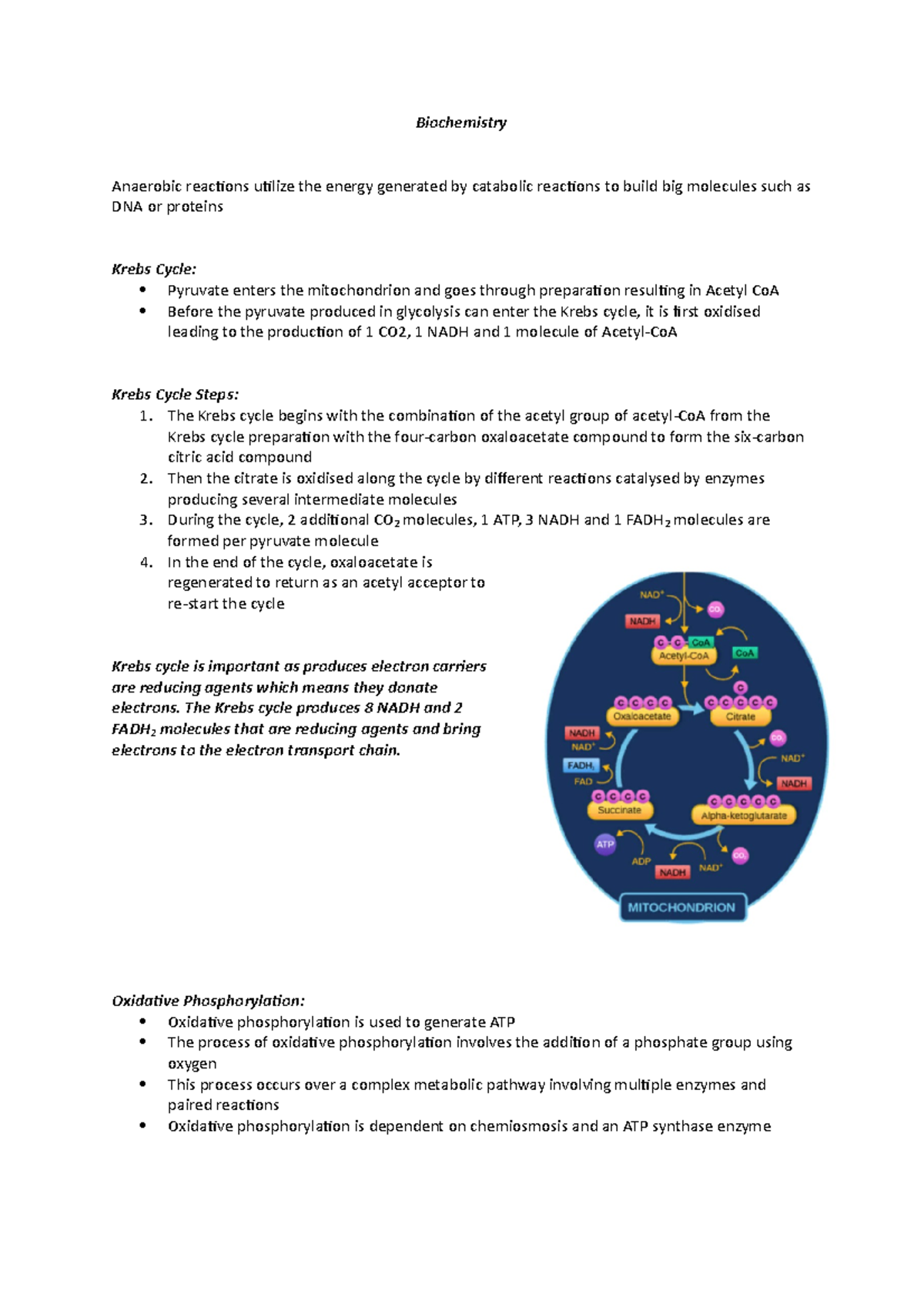 Biochemistry - Biochemistry Anaerobic reactions utilize the energy ...