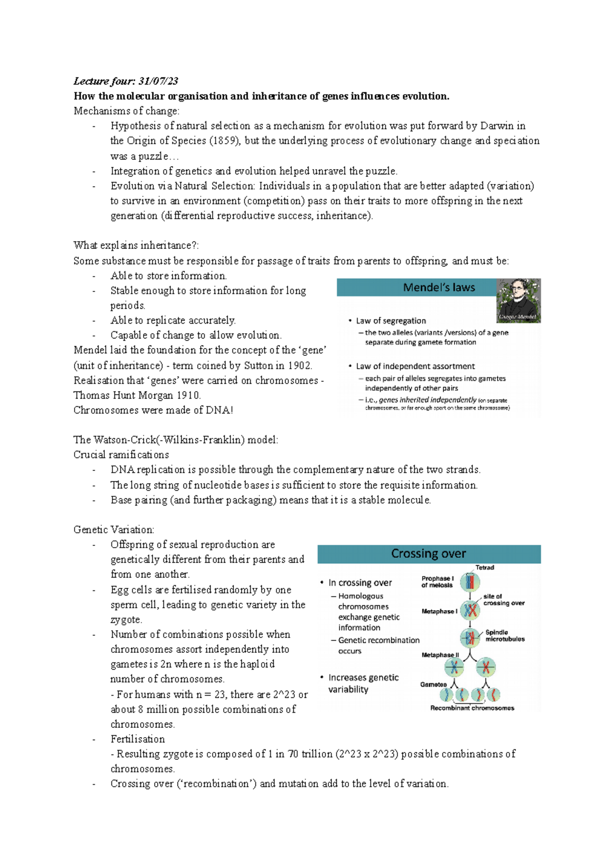 03 Week Three Lecture Notes Sem 2 2023 Lecture Four 3107 How The Molecular Organisation
