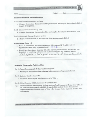 Kami Export - Module 9 - Unit Activity - Cell Energy Cycle Gizmo ...