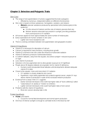 Chapter 11: Culture - Chapter 11: Culture What is Culture? Culture: the ...