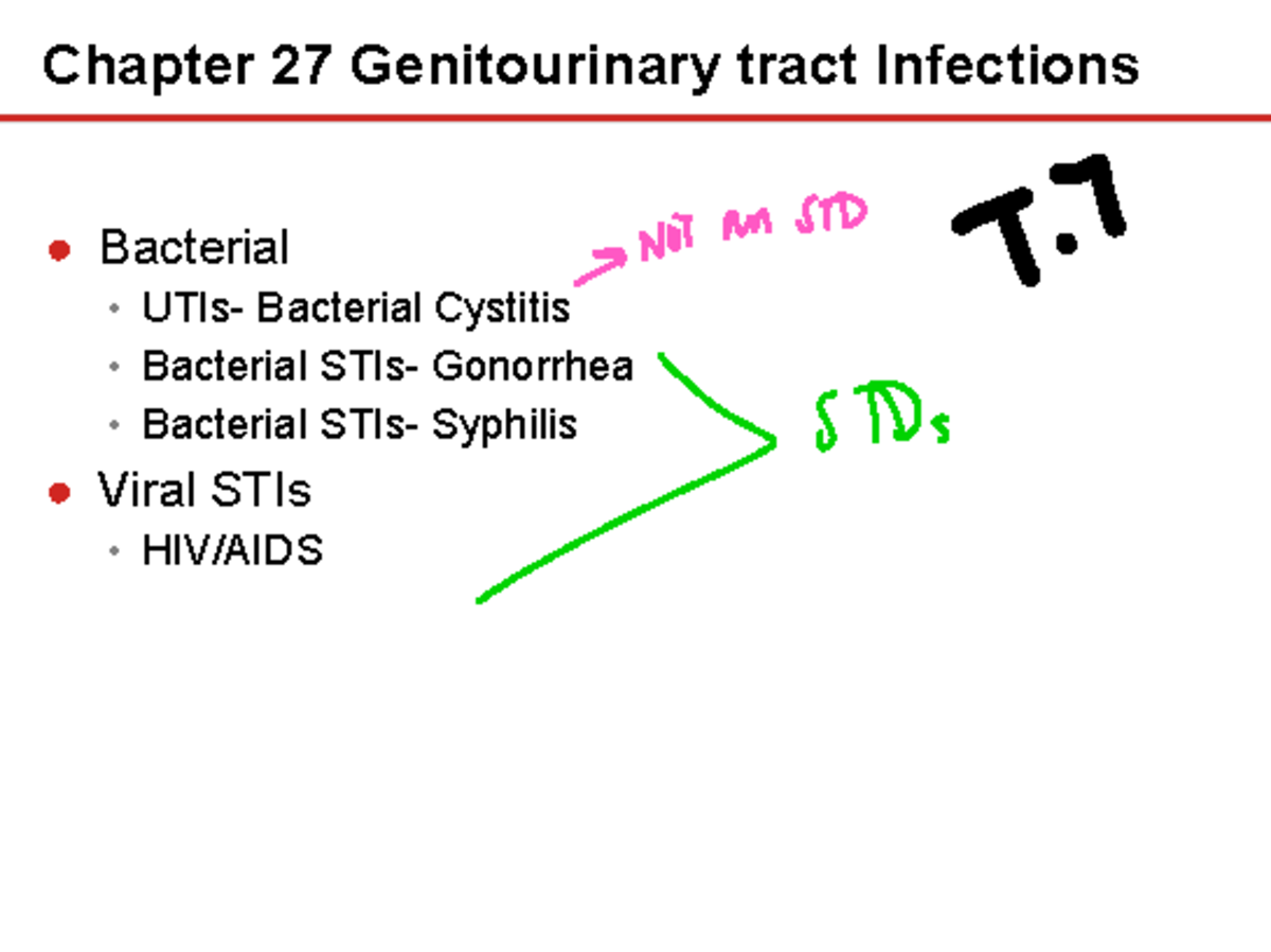 Ch 27 Genitourinary - Topic 7 Notes - Chapter 27 Genitourinary tract ...