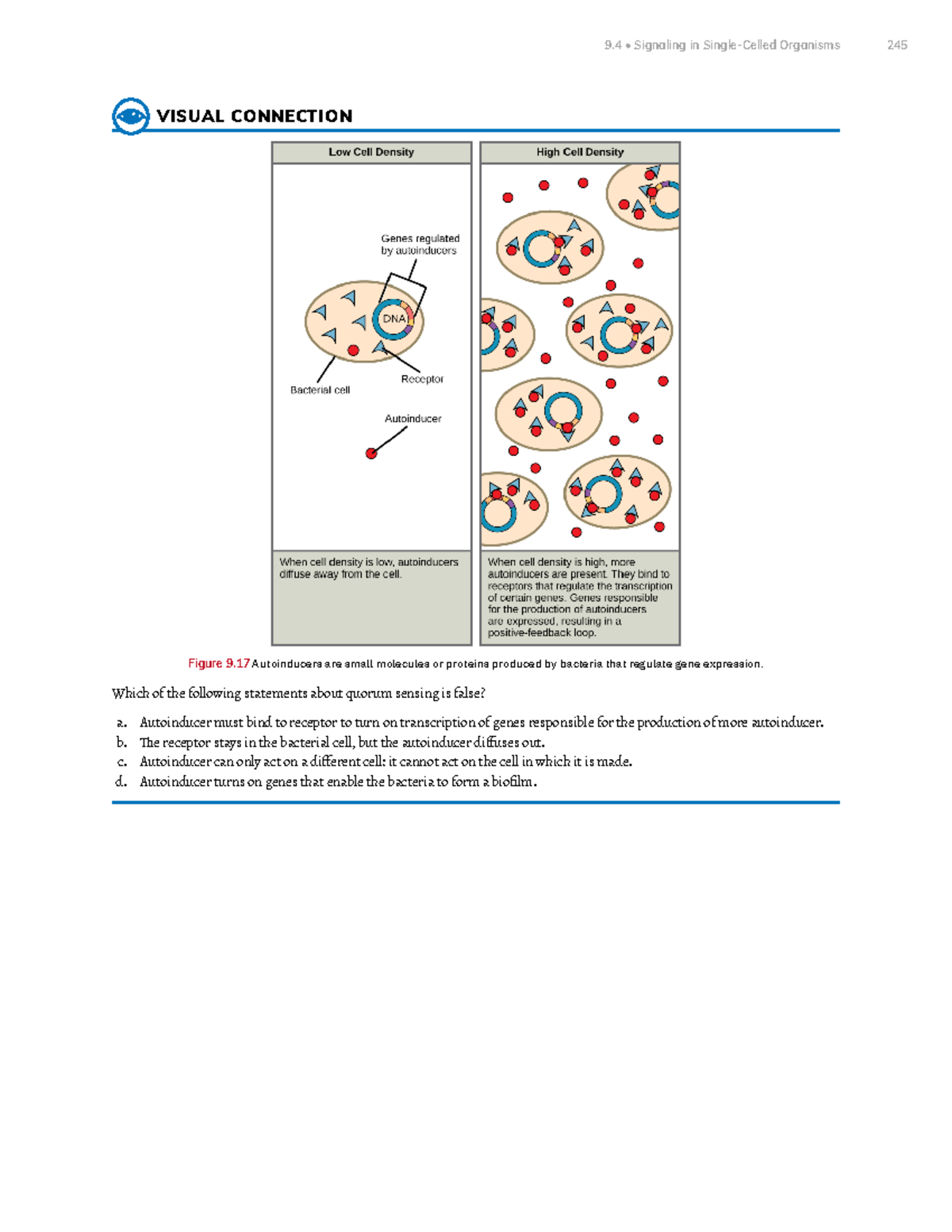 Chapter 9 Cell Communication Part 9 - VISUAL CONNECTION Figure 9 Autoinducers are small ...