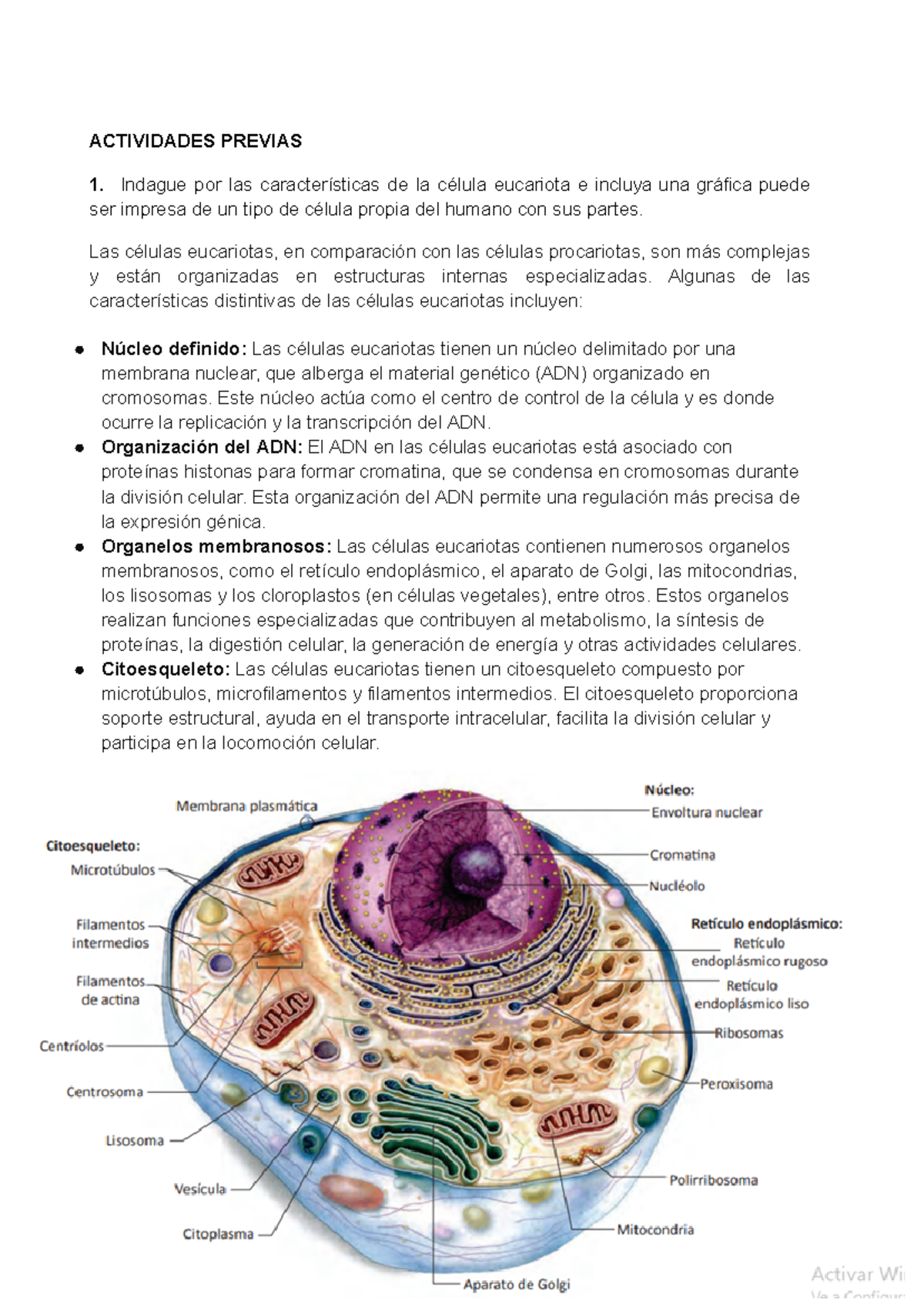 Biologia celular - ACTIVIDADES PREVIAS Indague por las características ...