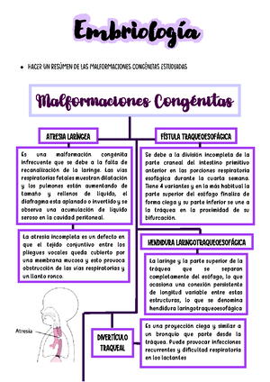 Resumen Malformaciones Congenitas AP - EmbriologÌa Malformaciones ...