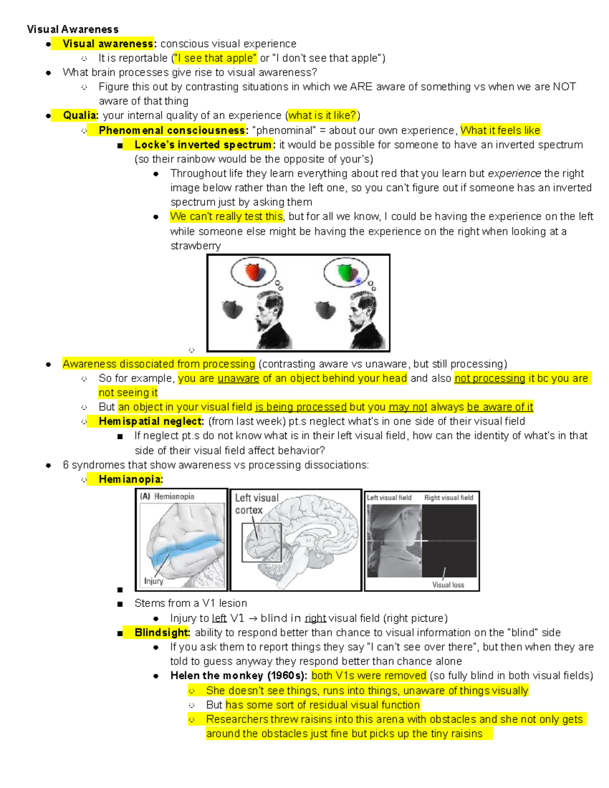 Week 15 - Lecture notes 15 - Visual Awareness Visual awareness ...