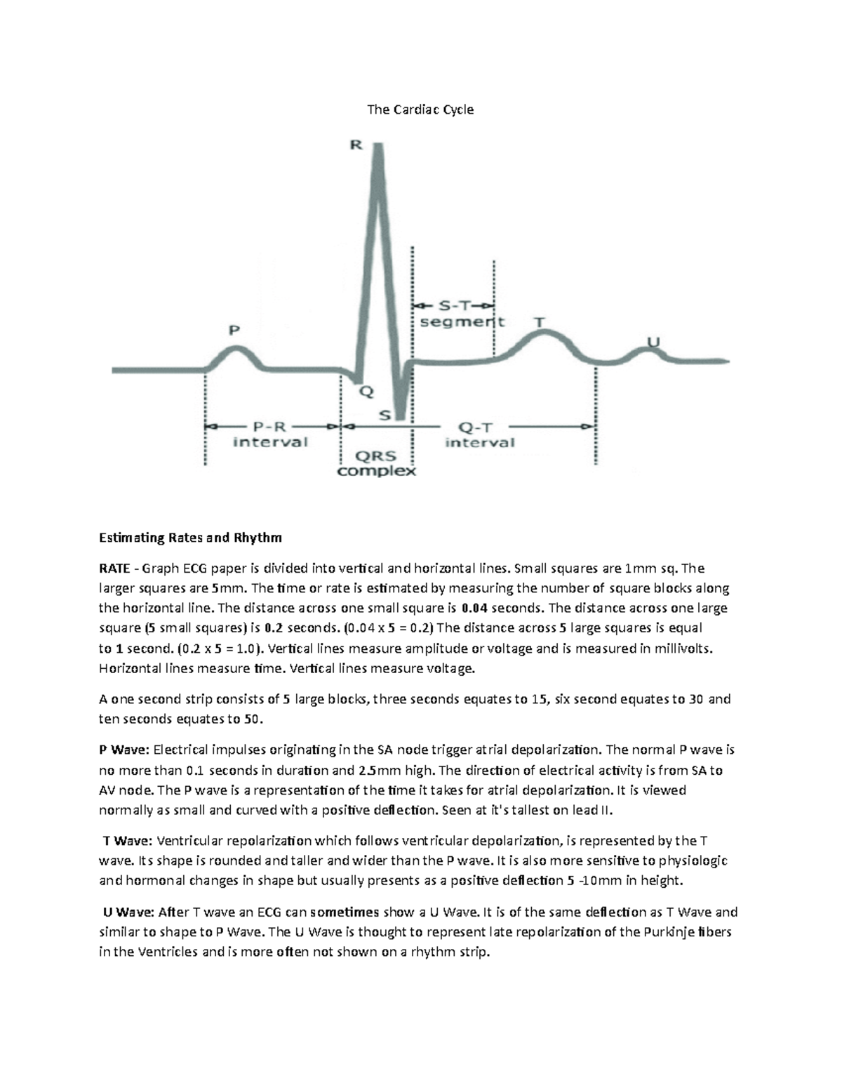 The Cardiac Cycle MAP - The Cardiac Cycle Estimating Rates and Rhythm ...