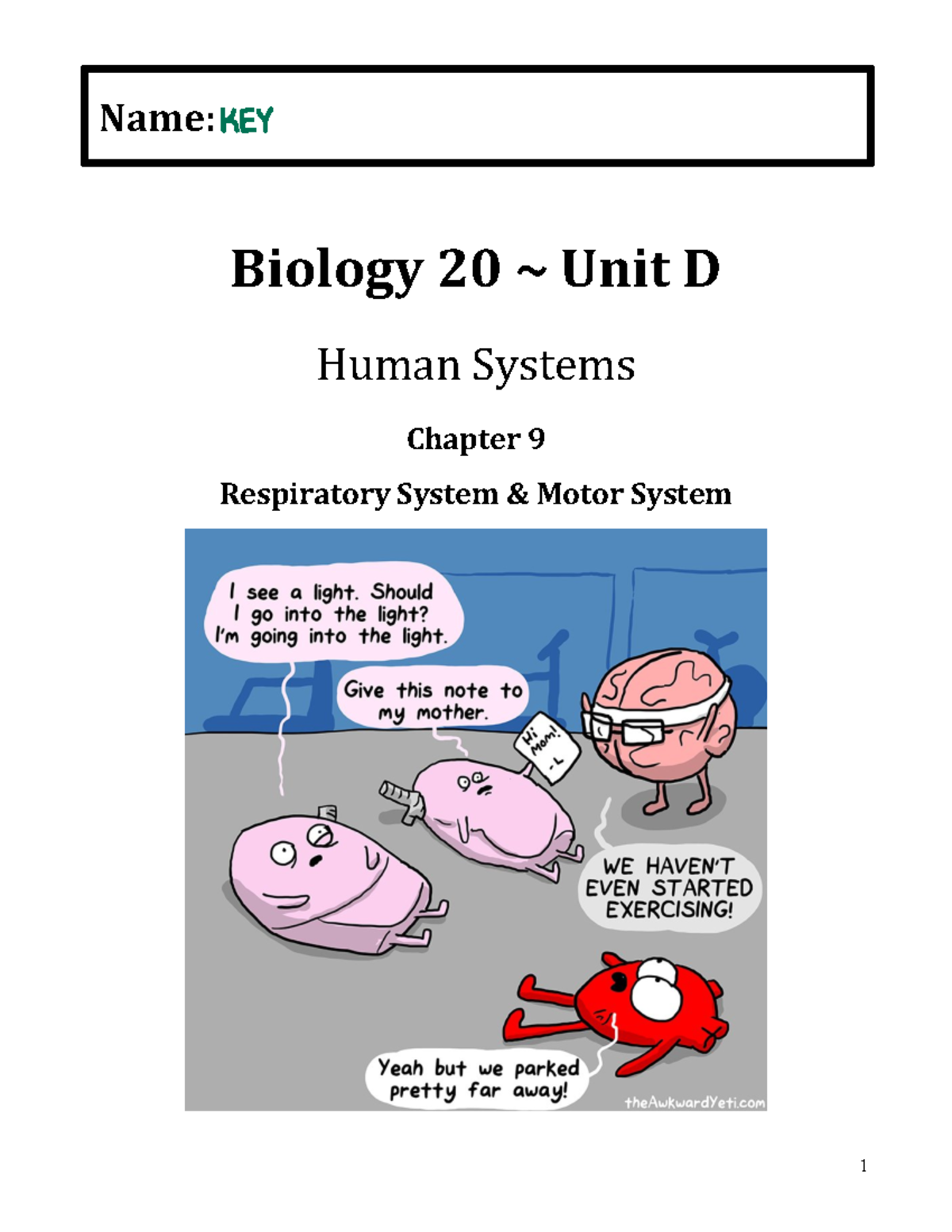 KEY Chapter 9 (Respiratory System) Workbook - Biology 20 ~ Unit D Human ...