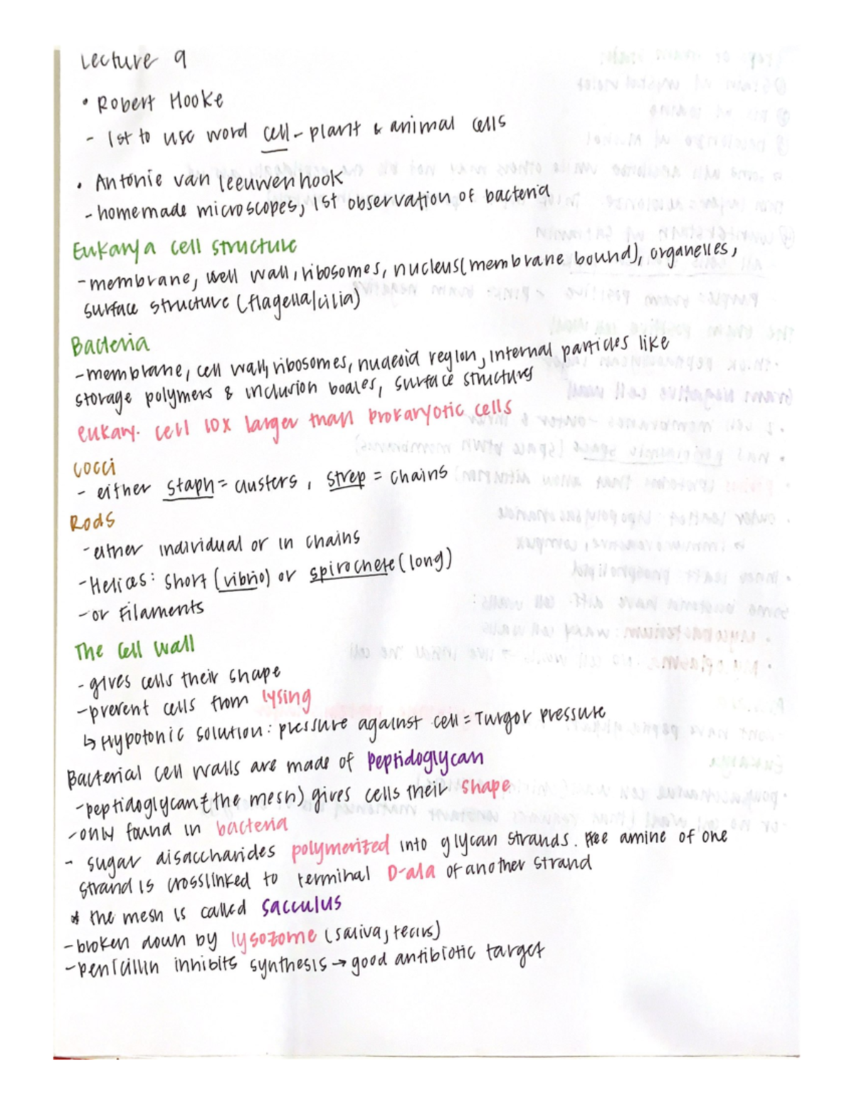 Bisc 333 Lectures 9-10 - Bisc 333 - Studocu