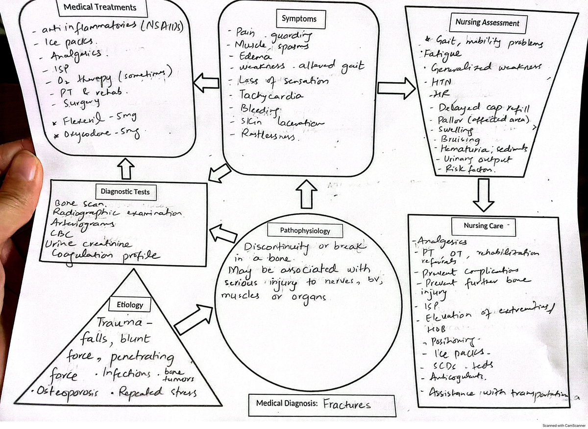 Diagnoses maps W5 - clinical diagnosis maps. disease maps - Medical ...