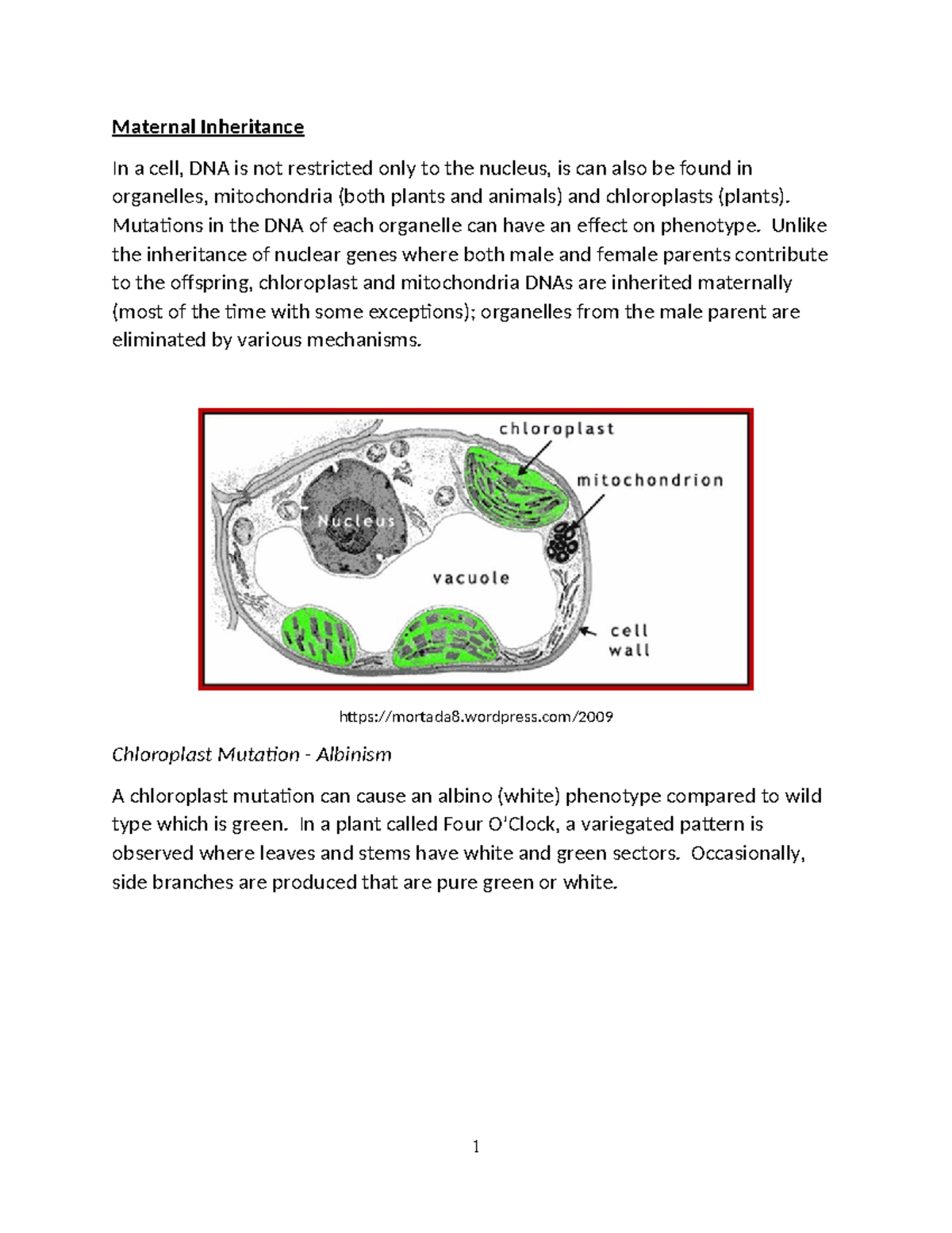 (9) Maternal Inheritance - Maternal Inheritance In a cell, DNA is not restricted only to the ...