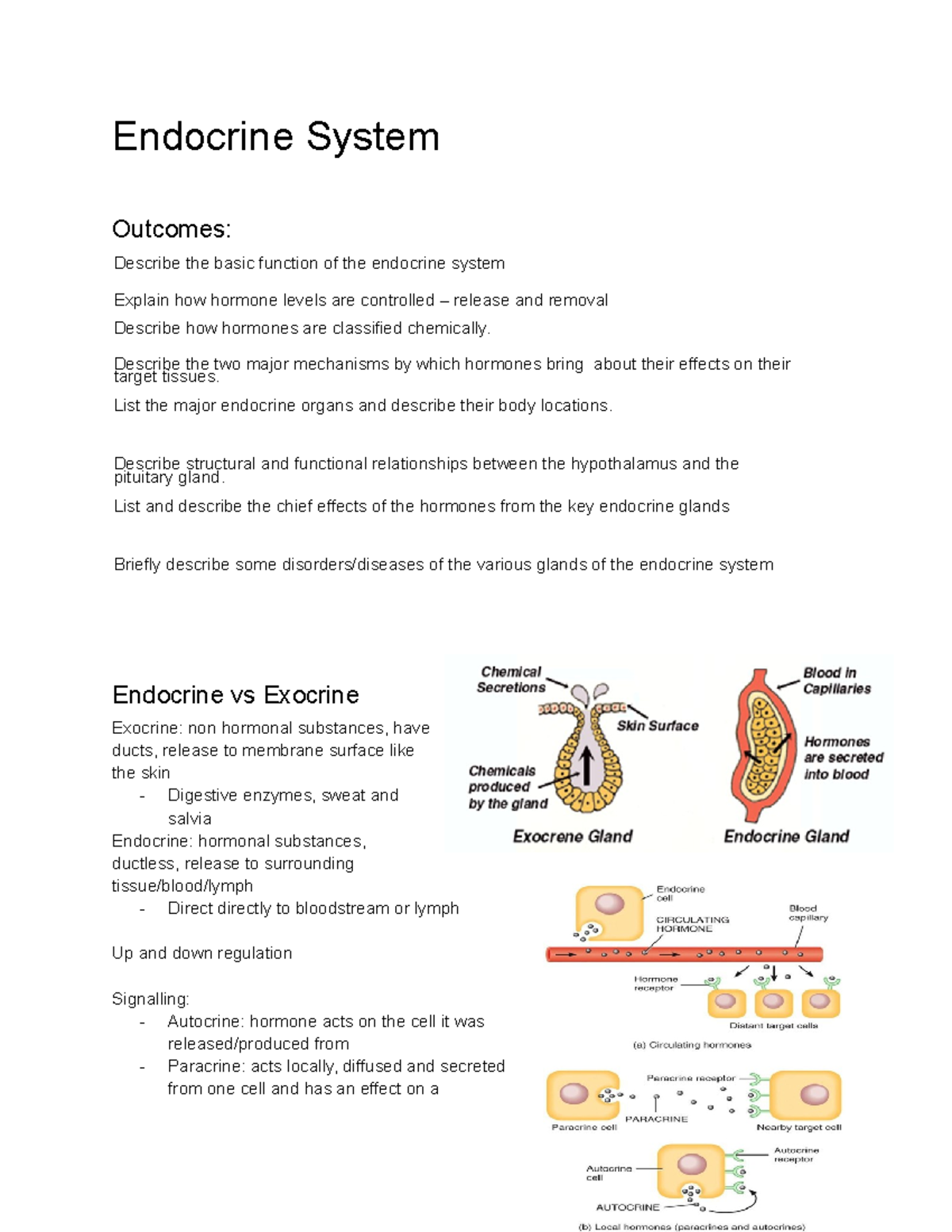 Endocrine System - Endocrine System Outcomes: Describe the basic ...