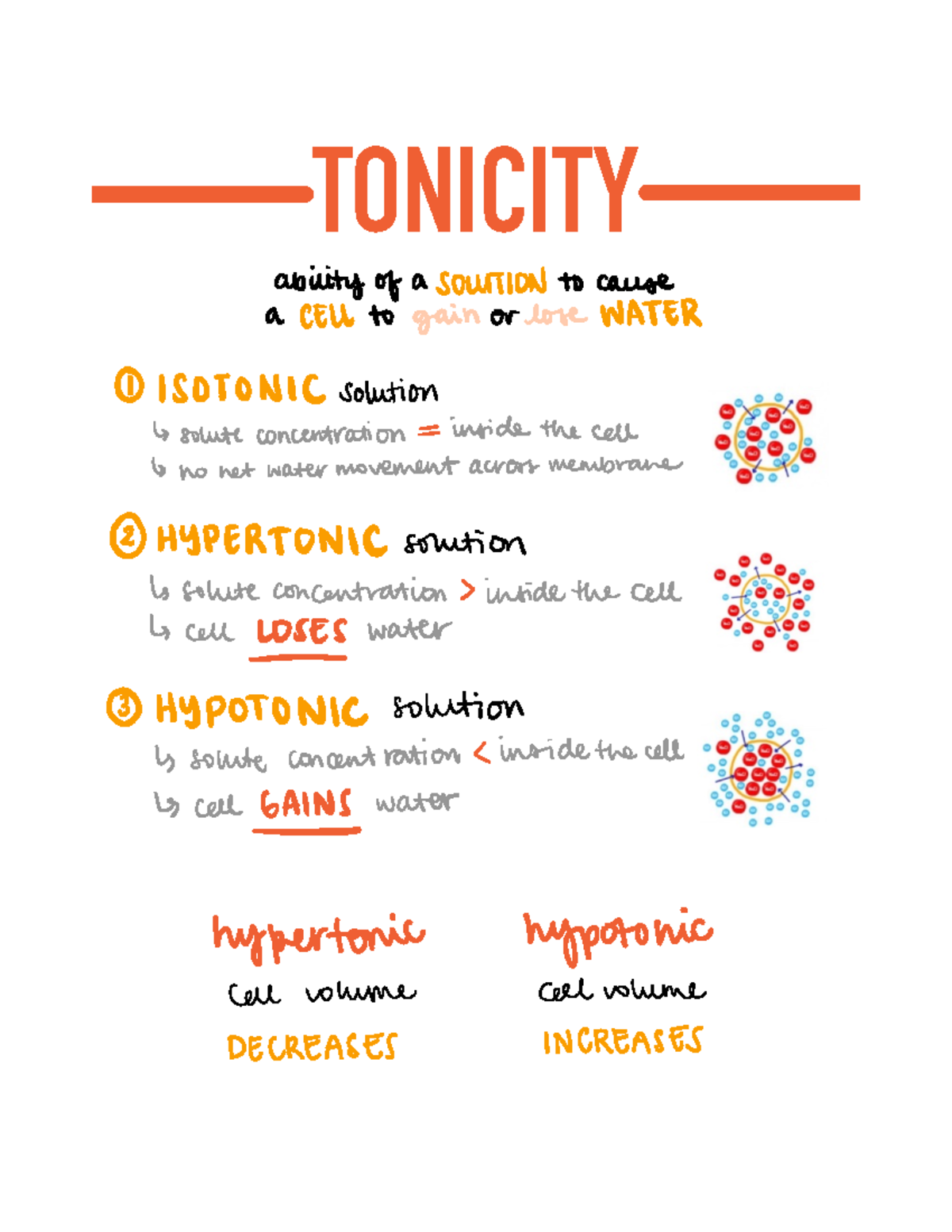 Osmosis and Tonicity [video] - abilityof aSOLUTION to cause a CELL to ...
