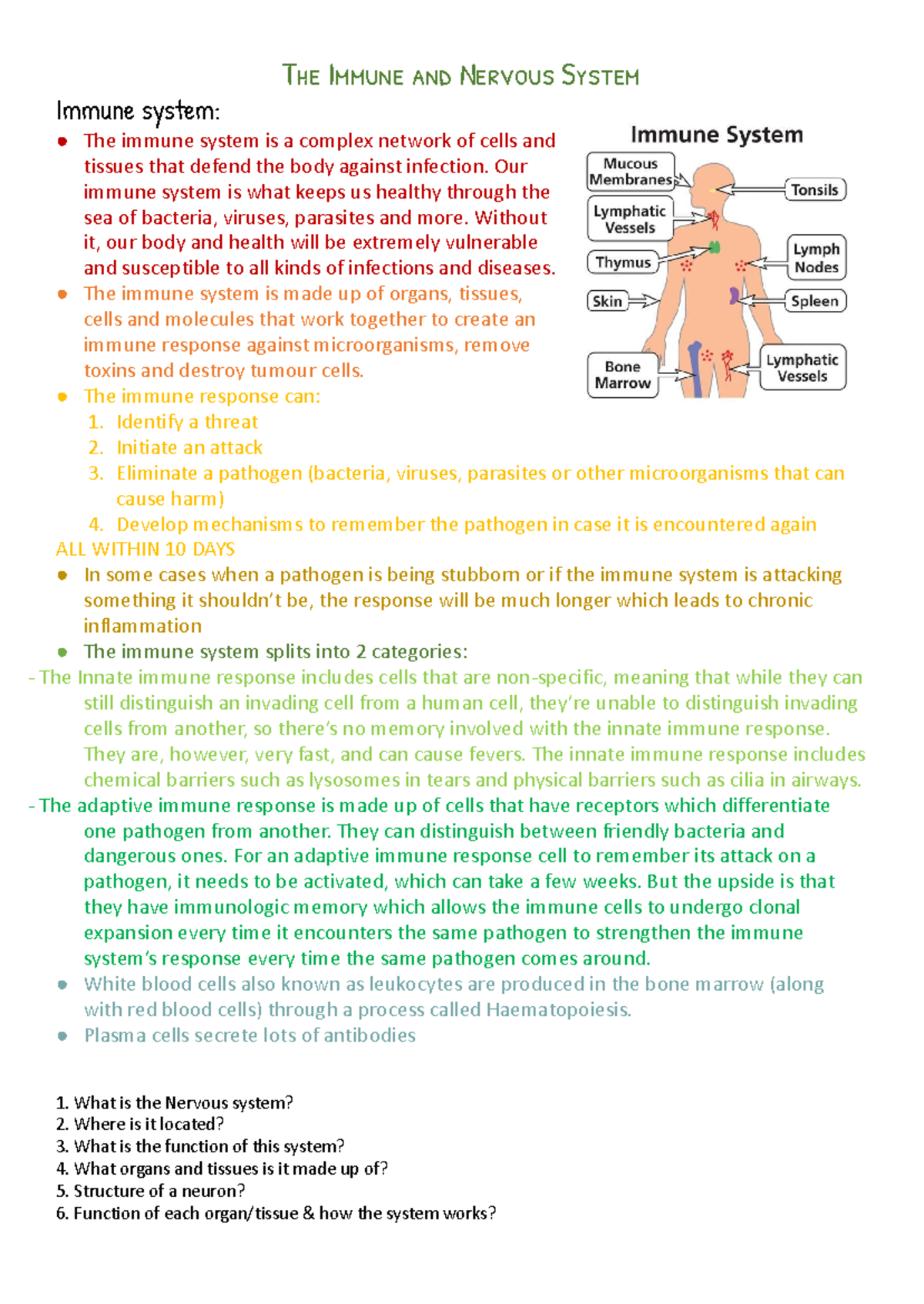The Digestive and Nervous System - The Immune and Nervous System Immune ...