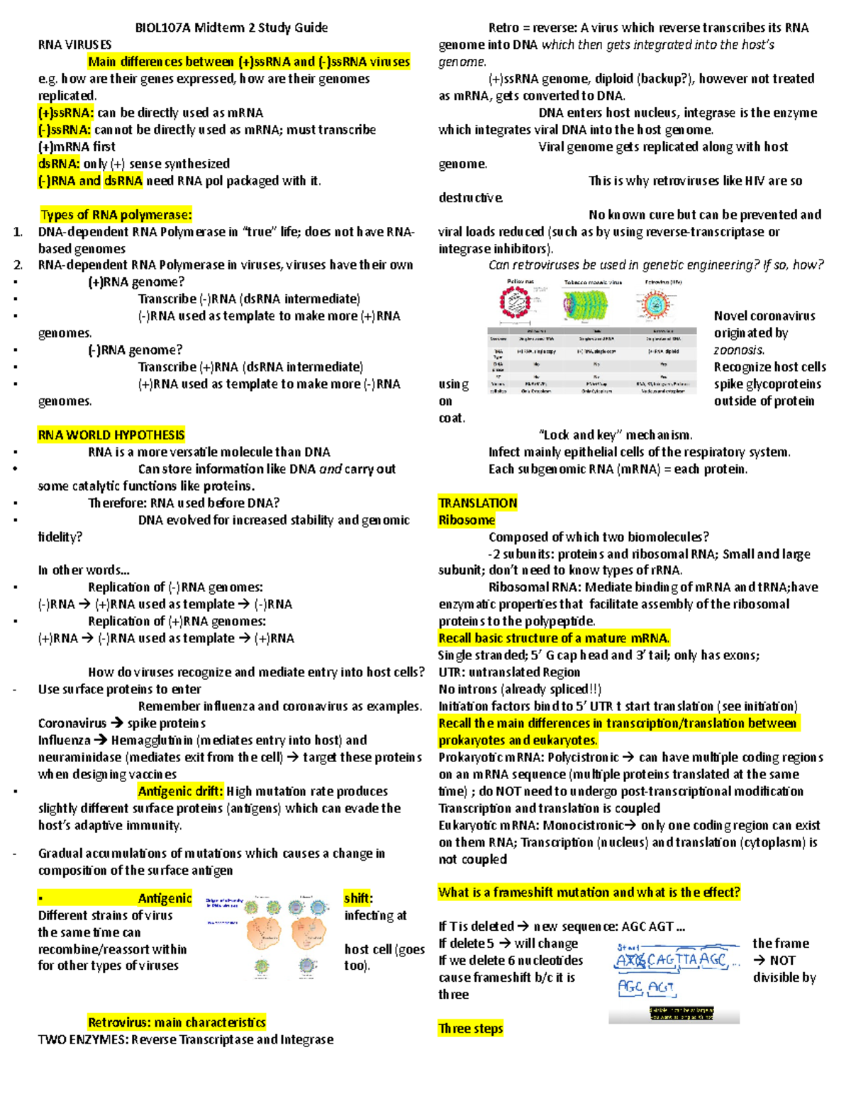 Midterm 2 Study Guide BIOL107A - BIOL107A Midterm 2 Study Guide RNA ...