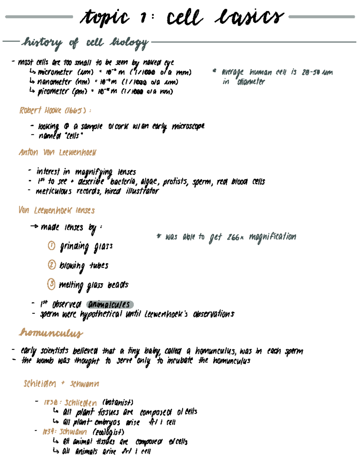 Topic 1- Cell Basics (lecture) - topic I cell basics history of cell ...