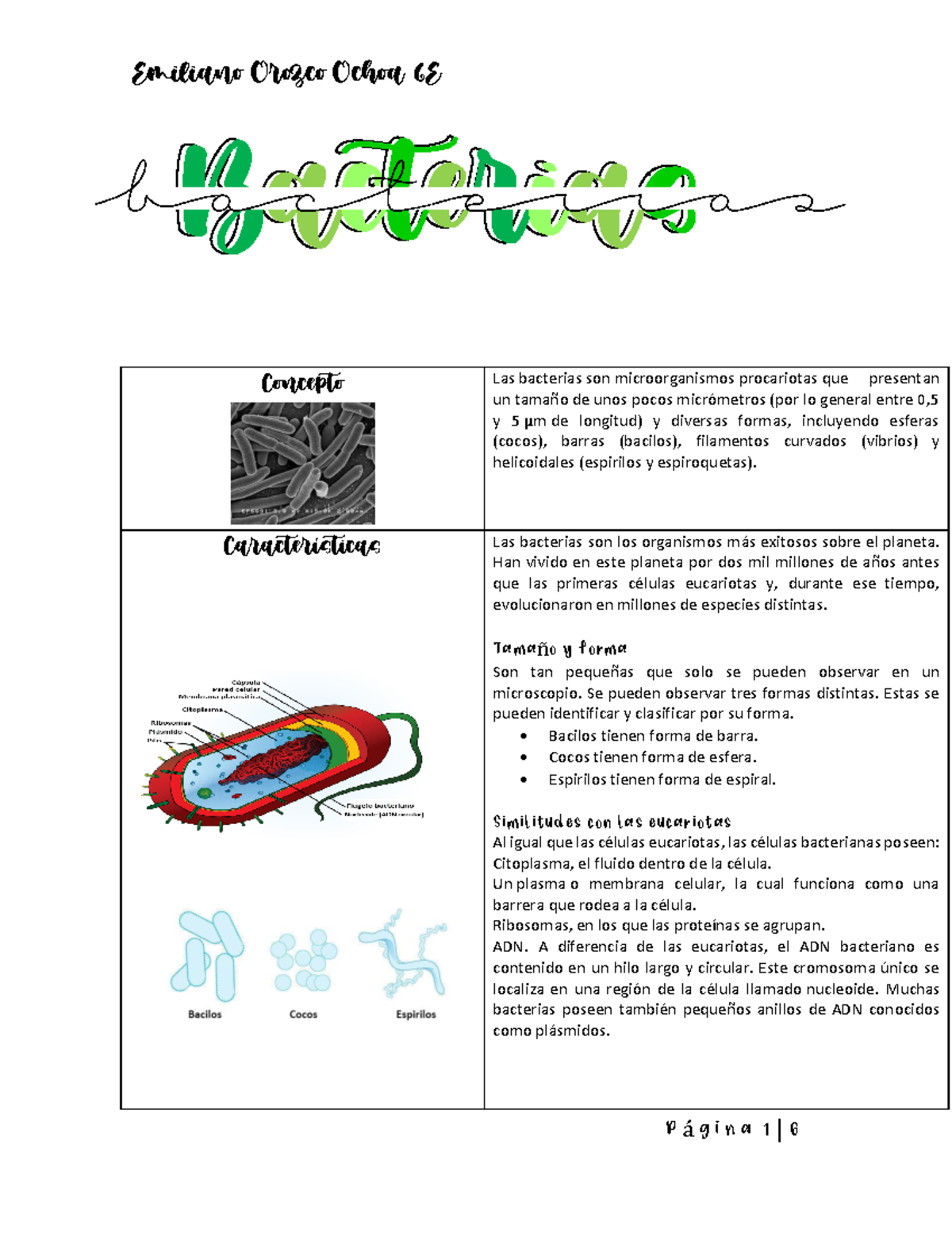 Bacterias - Concepto Las bacterias son microorganismos procariotas que ...